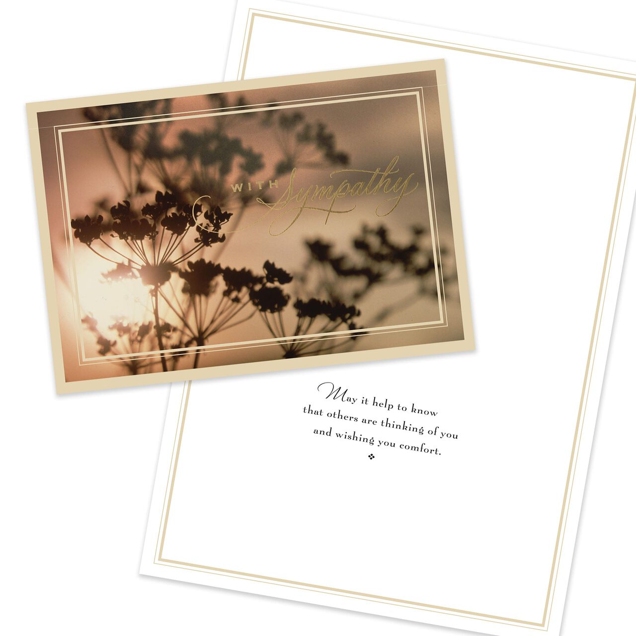 Starter Pack Assorted Life Event Cards 75 Pack | Hallmark Business