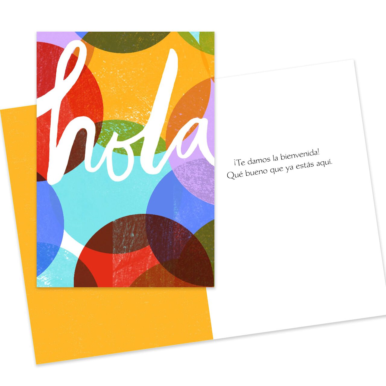 All Occasions Assorted Spanish Greeting Cards 25 Pack | Hallmark Business